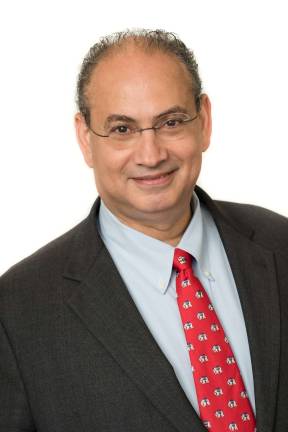 Gottfried, maffia run for assembly