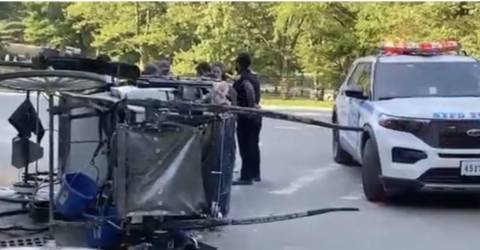 Teen Dies in Central Park After Fall from Horse Carriage