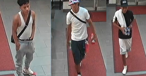 Three Teens Rob Woman in Latest Incident During Central Park Crime Surge