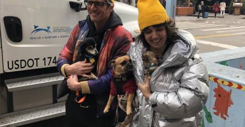 Roving Pet Adoption Van Helps Rovers Find New Homes