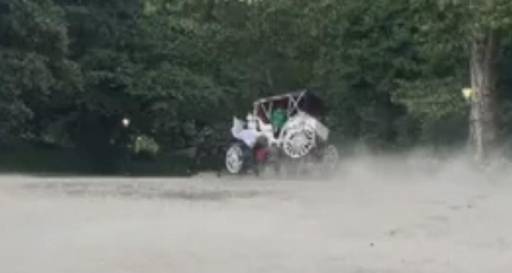 Teen Dies after Fall from Central Park Horse Carriage