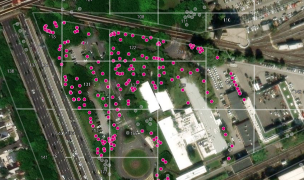 Decennial Tree Census Returns; Parks Seeking Volunteers